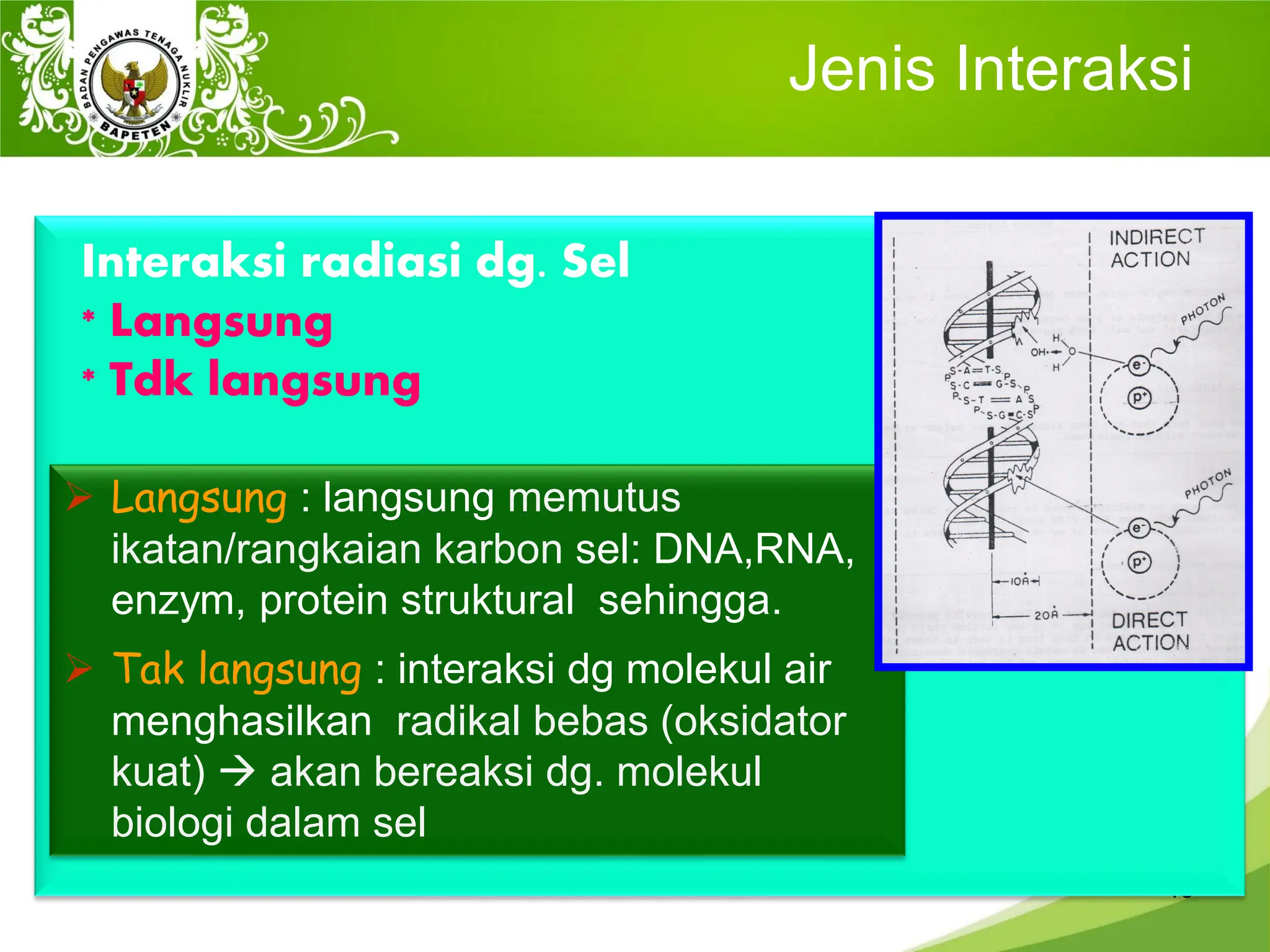 1613635367EfekRadiasiterhadapManusia.pdf