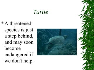 161381981-Endangered-Species-Presentation.ppt
