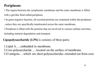 Bacterial Cell Wall Structure and Function | PDF