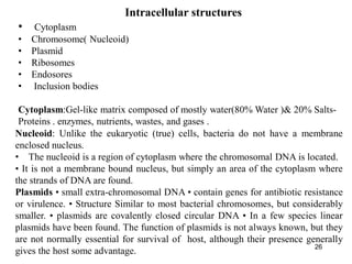 Bacterial Cell Wall Structure and Function | PDF