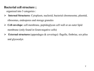 Bacterial Cell Wall Structure and Function | PDF