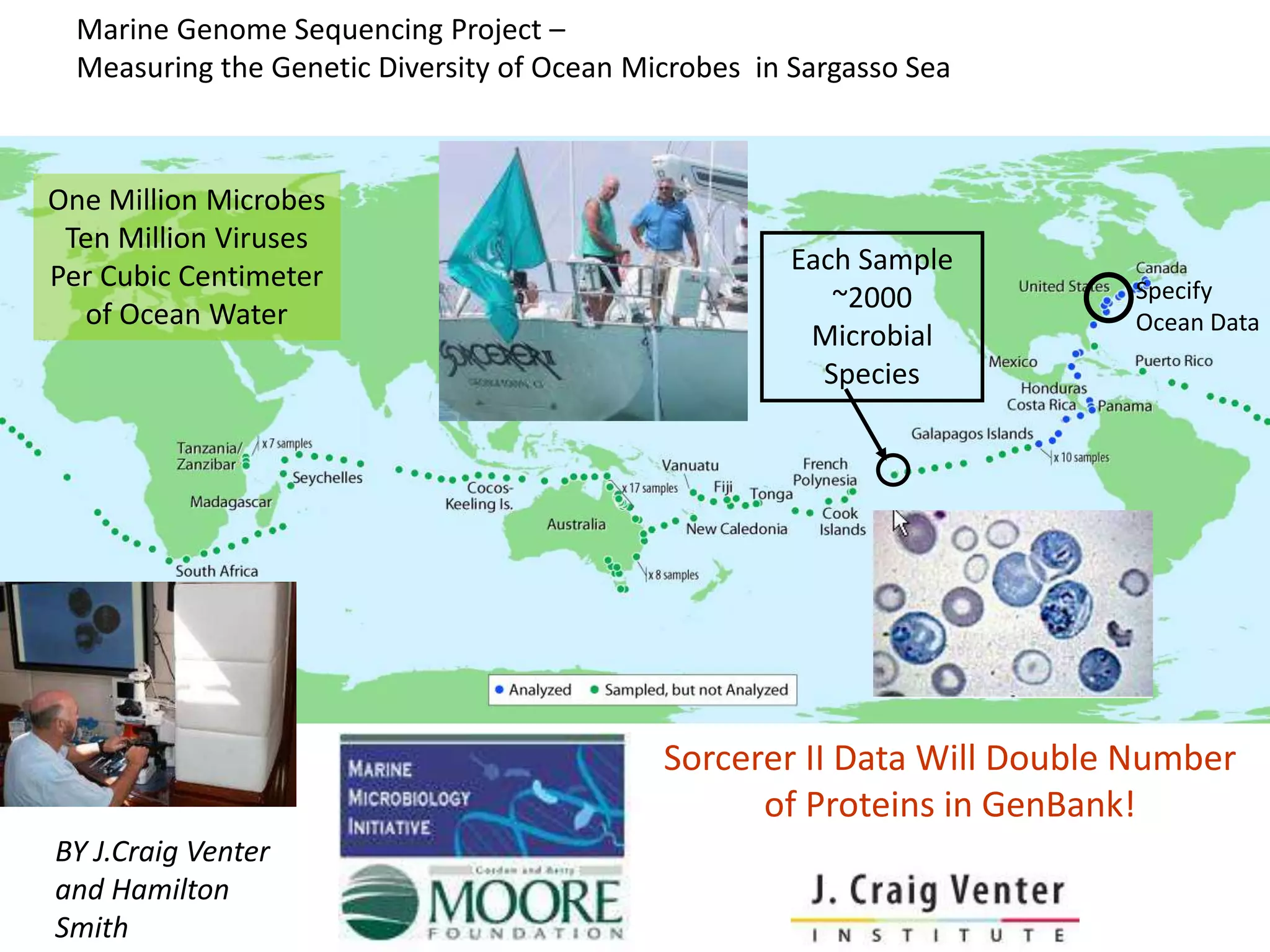 metagenomics | PPTX | Biological Sciences | Science