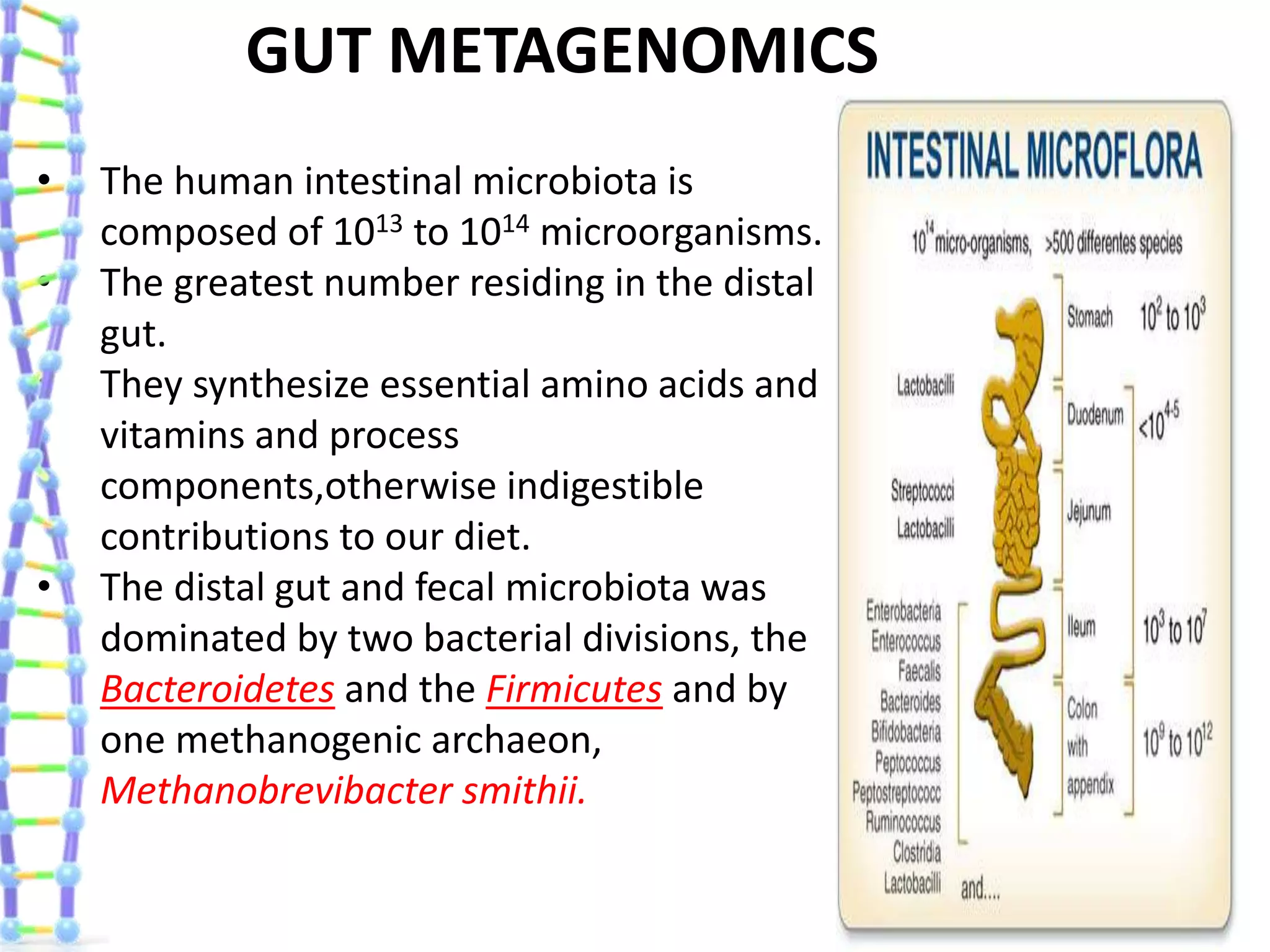 metagenomics | PPTX | Biological Sciences | Science