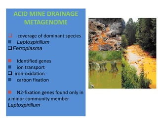 metagenomics | PPTX | Biological Sciences | Science
