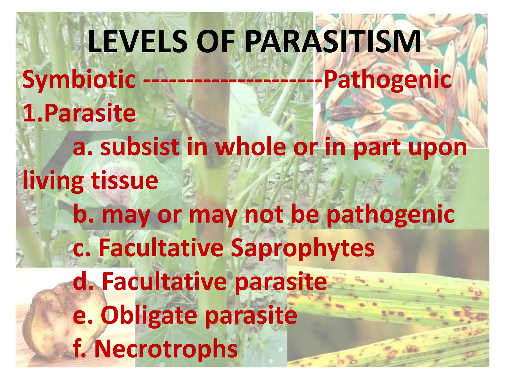pathogenesis and parasitisim 16141219.ppt