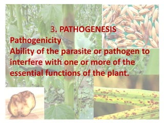 pathogenesis and parasitisim 16141219.ppt