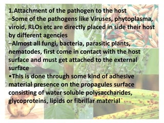 pathogenesis and parasitisim 16141219.ppt