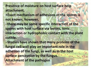 pathogenesis and parasitisim 16141219.ppt
