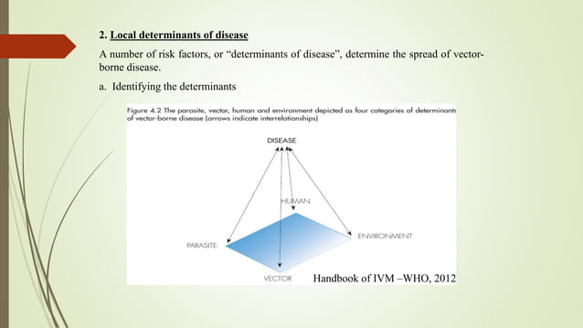 Integrated vector management | PPTX | Infectious Diseases | Diseases ...