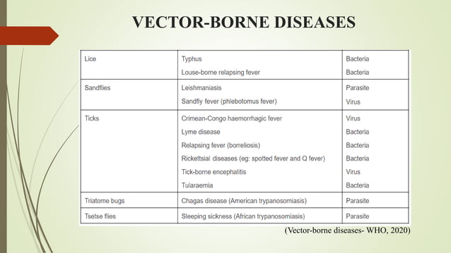 Integrated vector management | PPTX | Infectious Diseases | Diseases ...