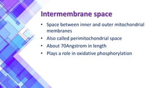 Mitochondria | PPT