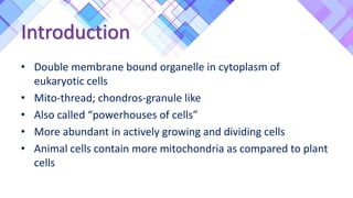 Mitochondria | PPT