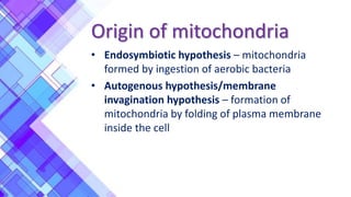 Mitochondria | PPT
