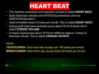 introduction to the Heart: its anatomy.pptx