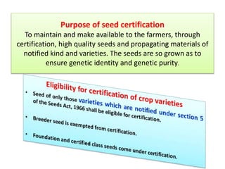 16&17. seed certification | PPTX | Agriculture | Industries
