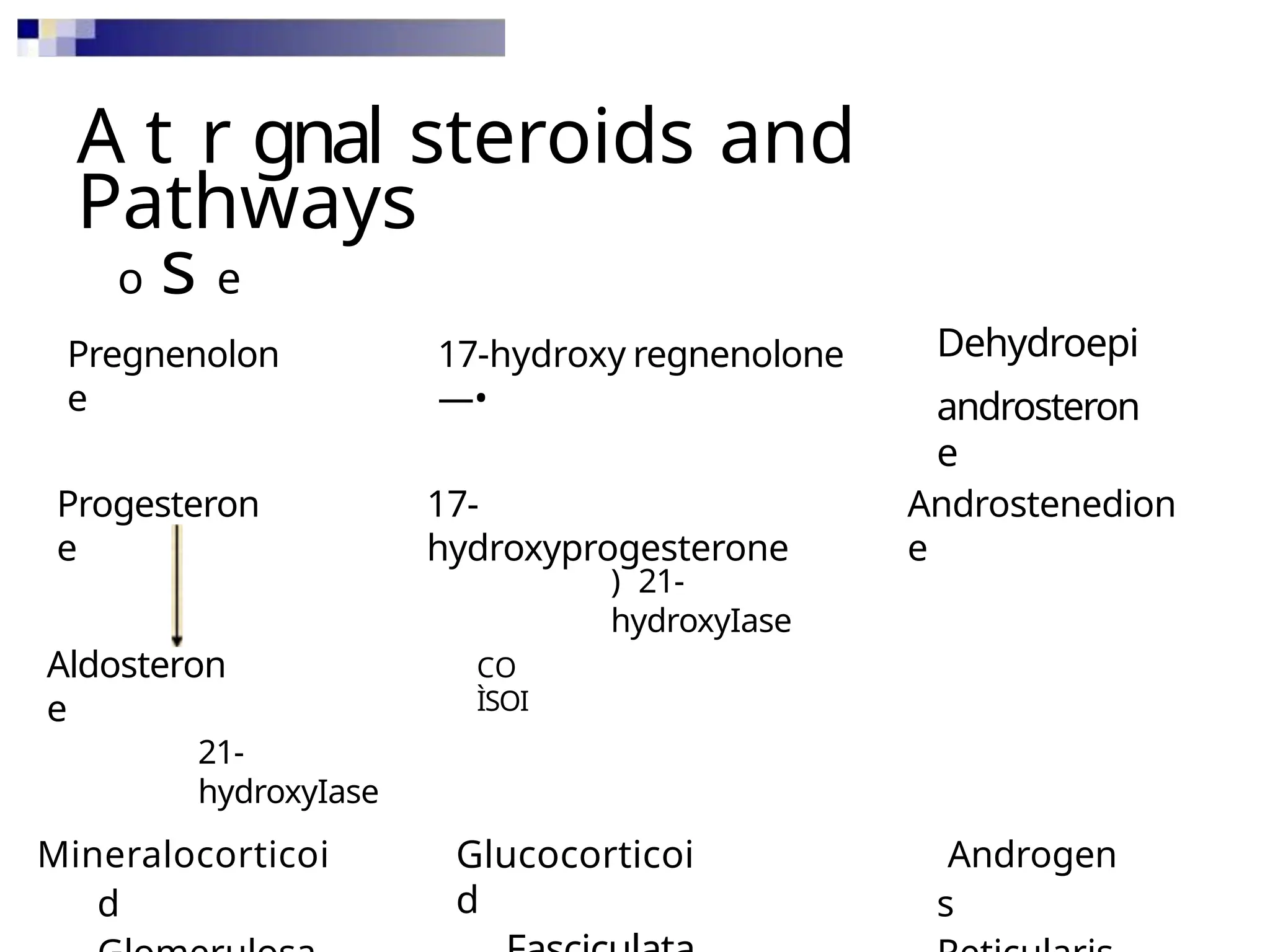 adrenal insufficiency/ adrenocortical insufficiency.pptx