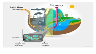 1619506344-biotechnology-for-metal-and-radionuclide-removal-and ...