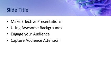 161992-brain-template-16x9.pptx