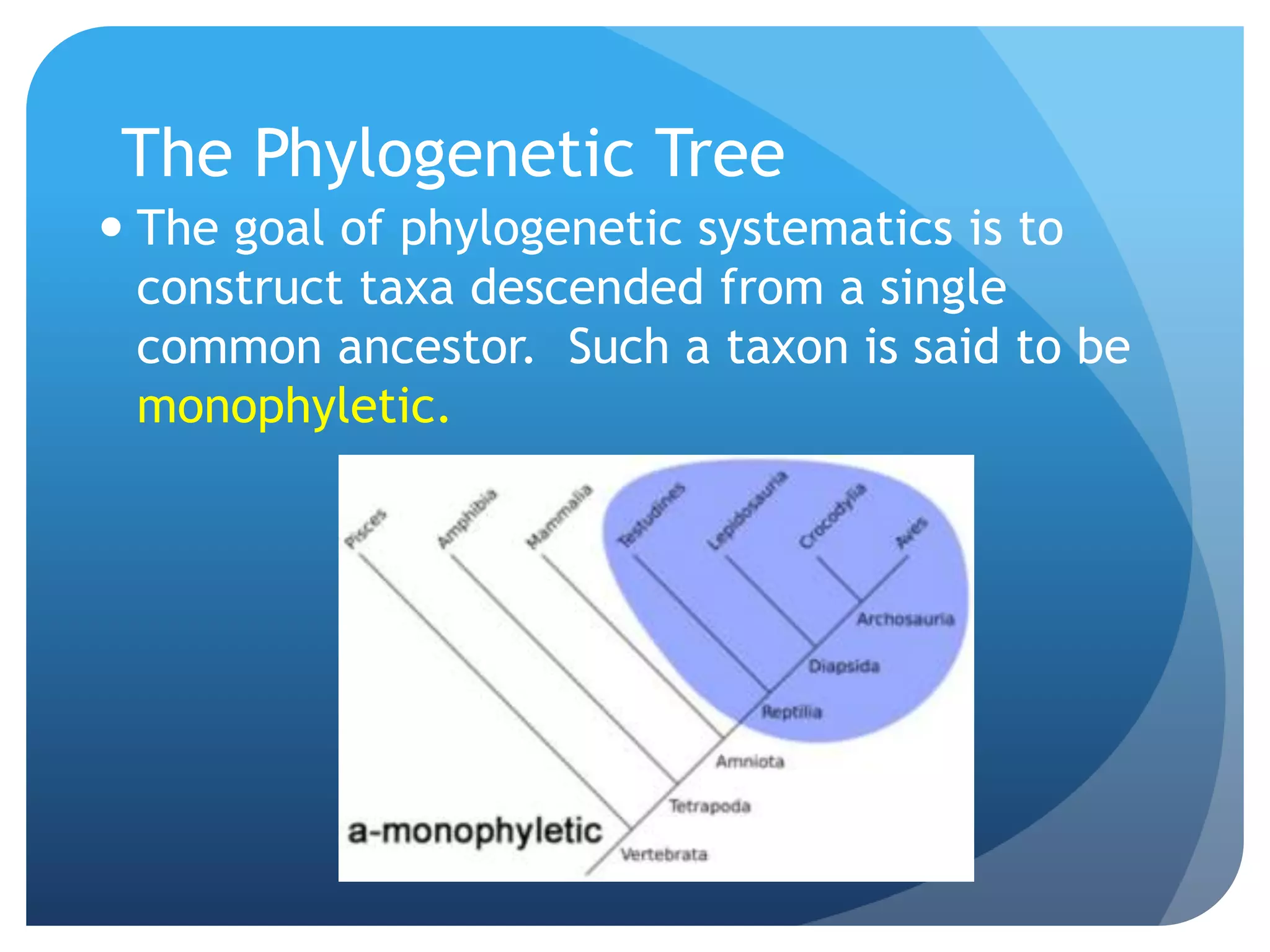 161S16_systematics.pptx