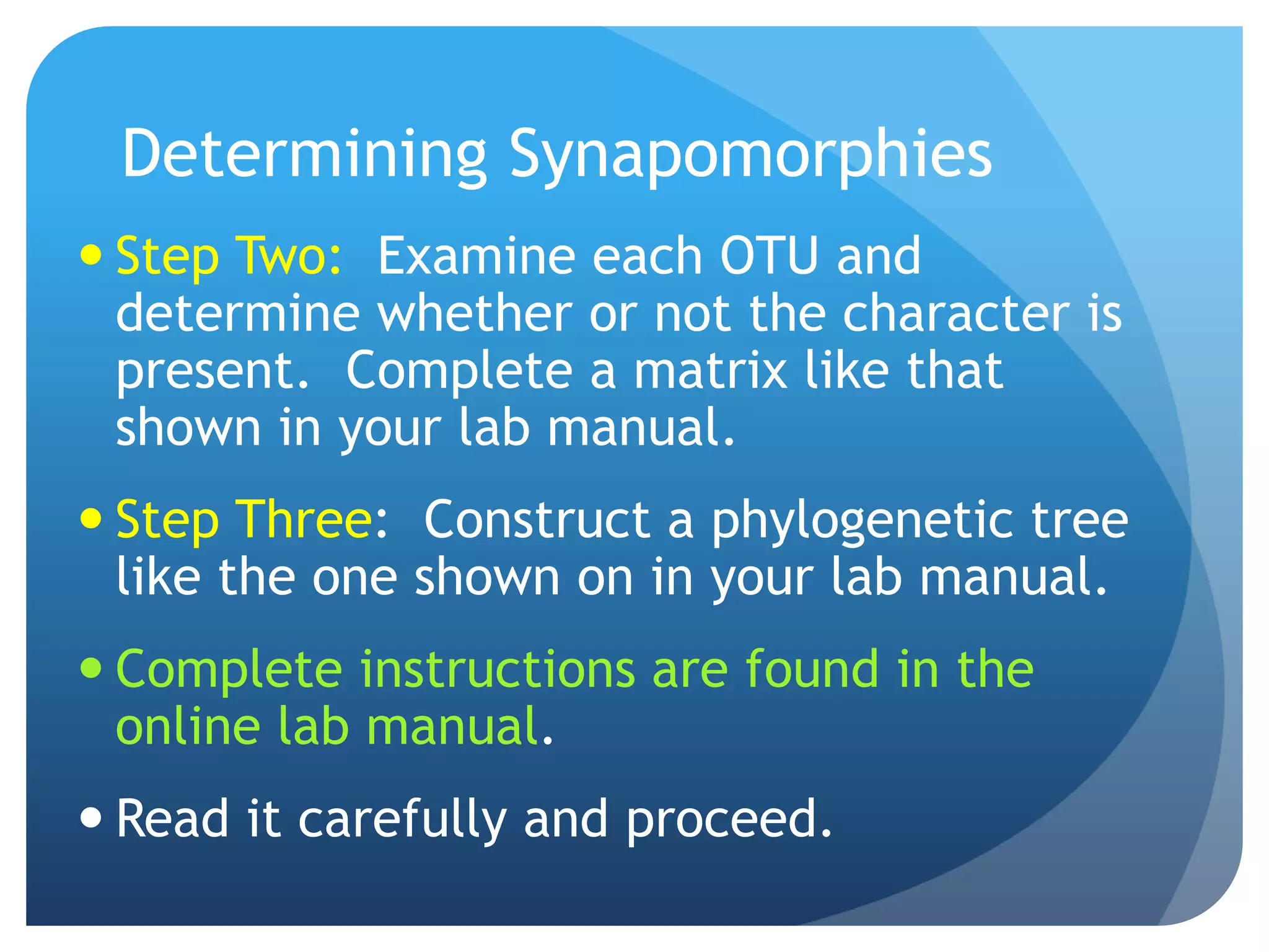 161S16_systematics.pptx