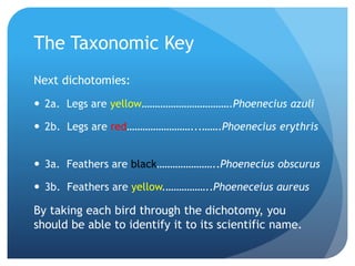161S16_systematics.pptx