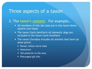 161S16_systematics.pptx