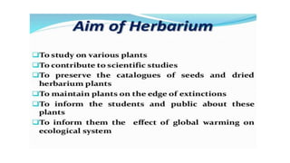 PLANT HERBARIUM TECHNIQUES POWERPOINT .pptx