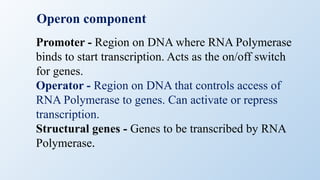 💯Lac Operon👍📜, operon system biologyg | PPTX