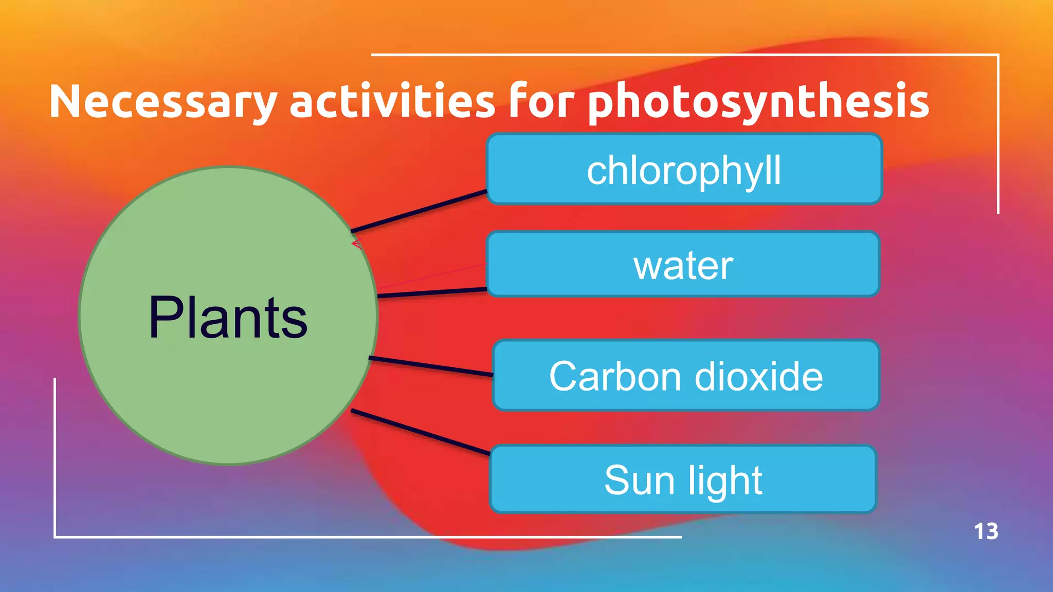 plant physiology,photosynthesis,tropism in plants,definition for types ...