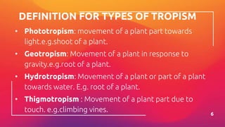 plant physiology,photosynthesis,tropism in plants,definition for types ...