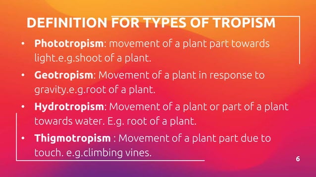 plant physiology,photosynthesis,tropism in plants,definition for types ...