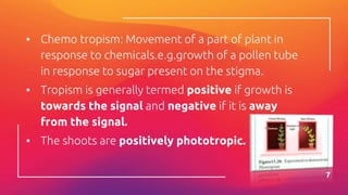 plant physiology,photosynthesis,tropism in plants,definition for types ...