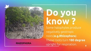 plant physiology,photosynthesis,tropism in plants,definition for types ...
