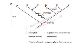Phylogentics and Phylogeny of Angiosperms | PPTX