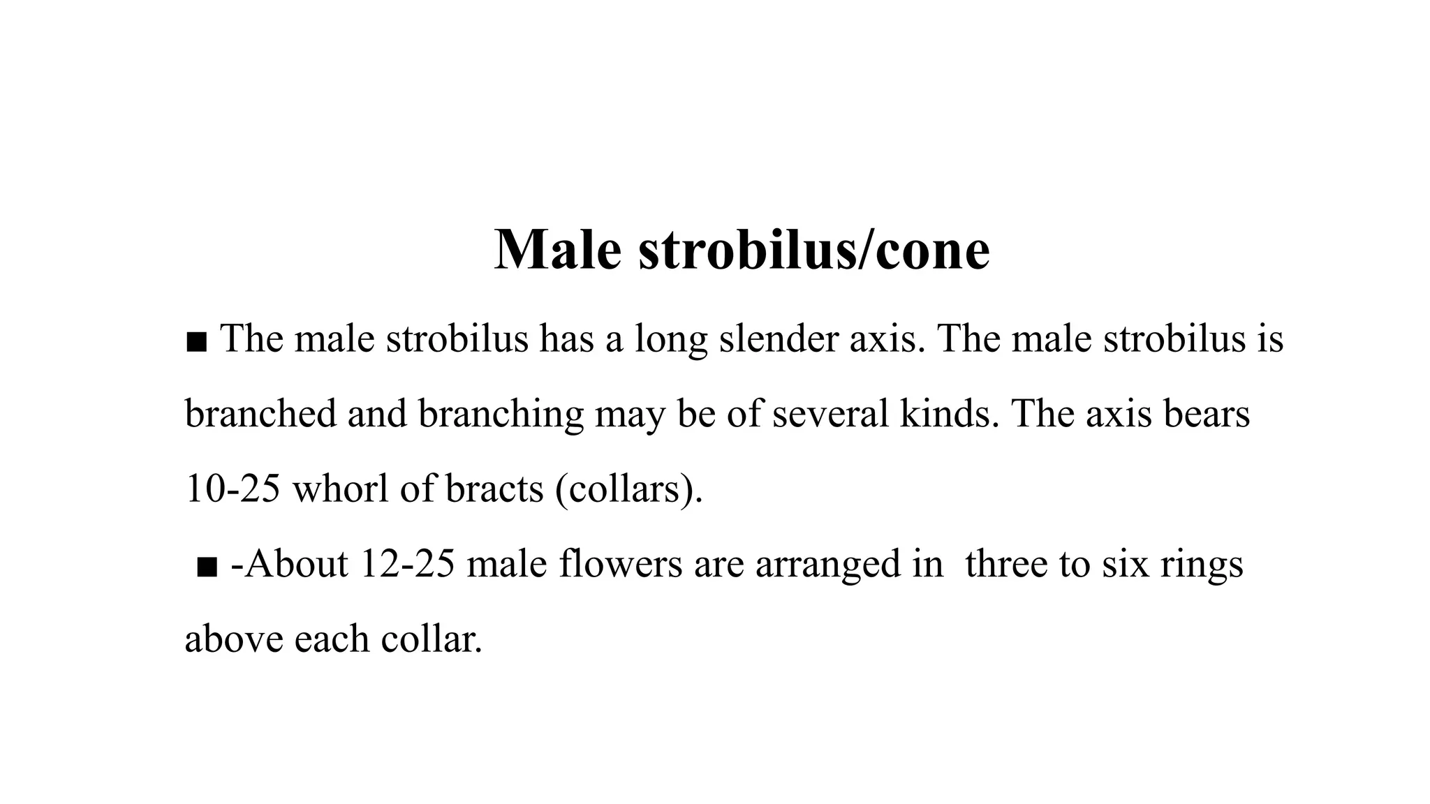 Gnetum Botany Characters used for B>Sc and M.Sc. | PPTX