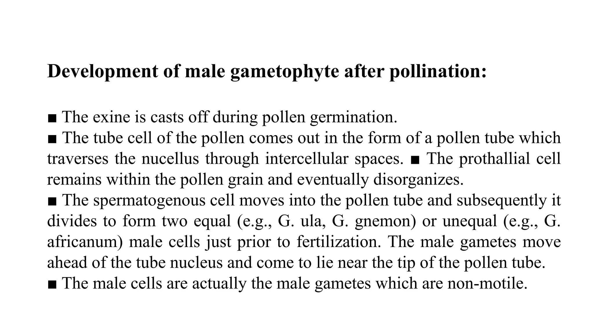 Gnetum Botany Characters used for B>Sc and M.Sc. | PPTX