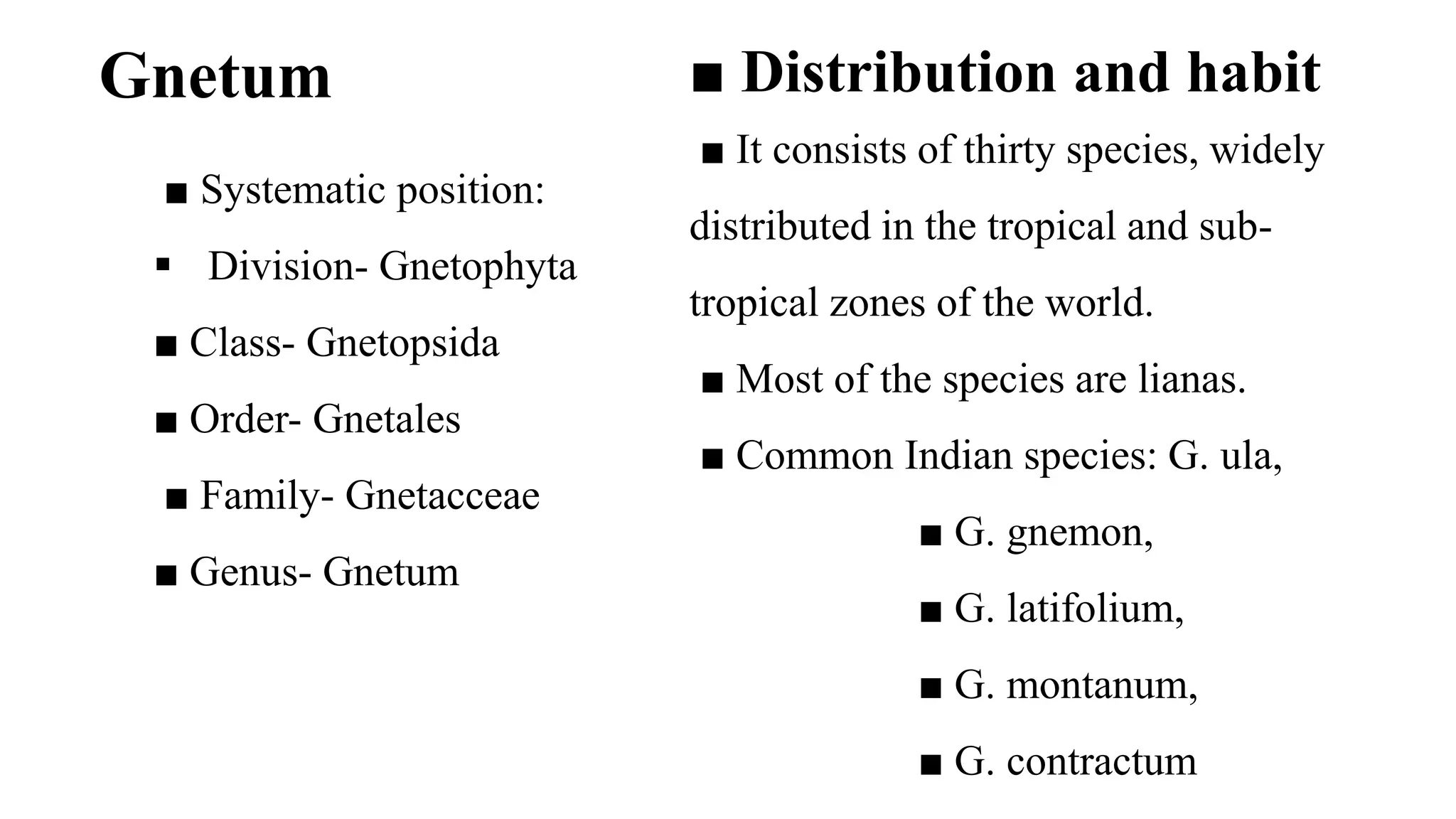 Gnetum Botany Characters used for B>Sc and M.Sc. | PPTX