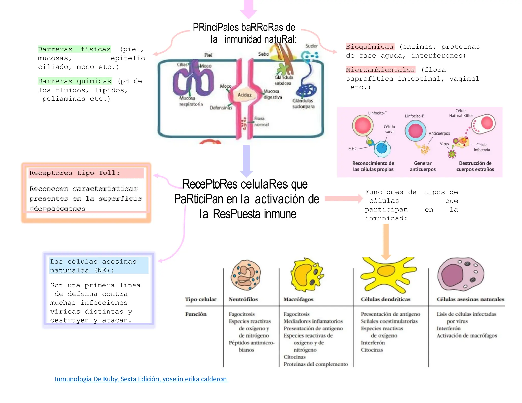 presentacion de inmunologia ppowerpointi | PPTX
