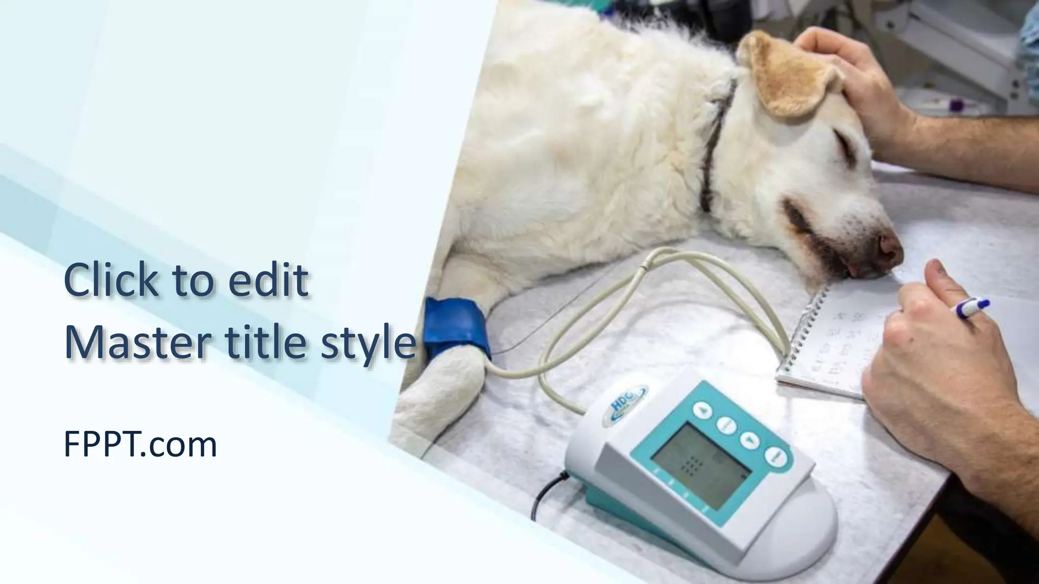 162649-vet-template-16x9.pptx