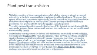 Plant pest including virus | PDF