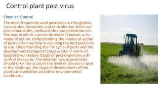 Plant pest including virus | PPT