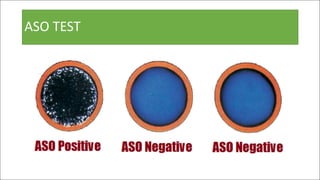1628563867333_AGGLUTINATION TEST.pdf 1628563867333_AGGLUTINATION TEST ...