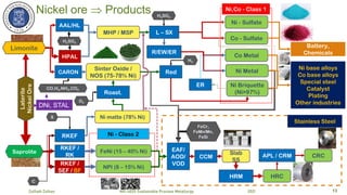 1628846067834_Zulfiadi-Zulhan-_-Laterite-Nickel-Ore-Processing-and ...