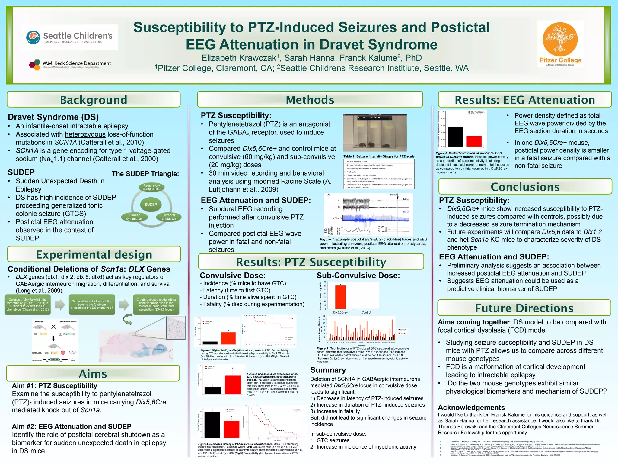Lizzie_Krawczak_Thesis Poster | PPT