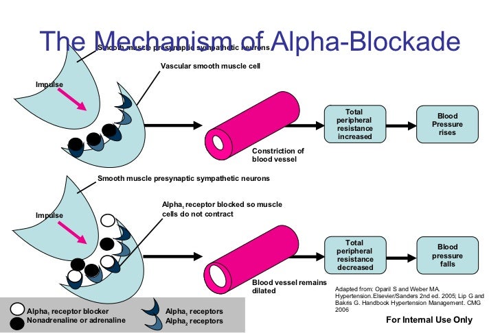1.6.2 Pharmacologic Treatment