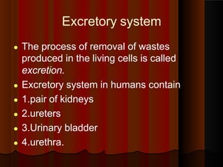 1630854458_ppt-170425112858.pptx