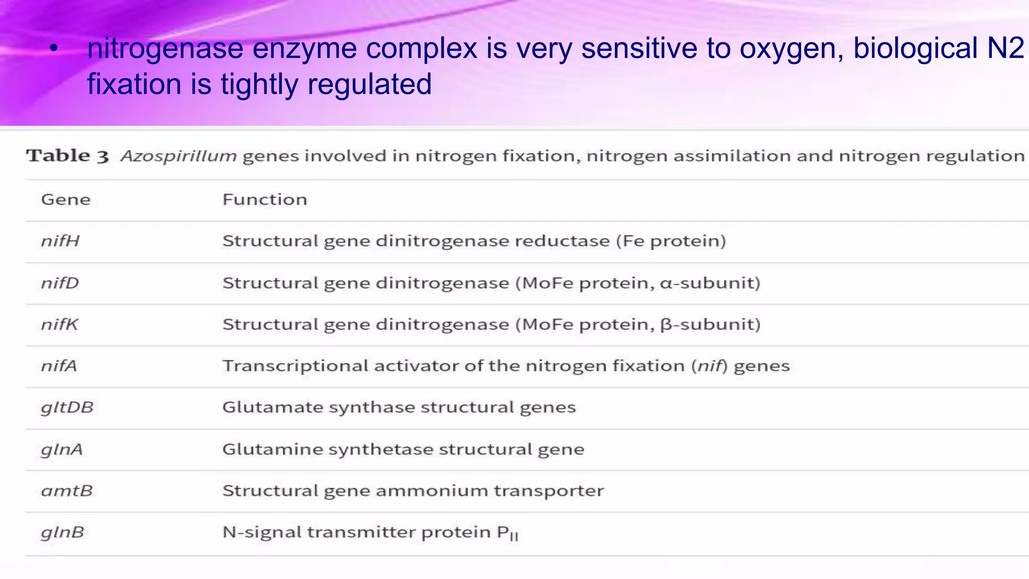 non symbiotic nitrogen fixation P.K.sonkar.pptx