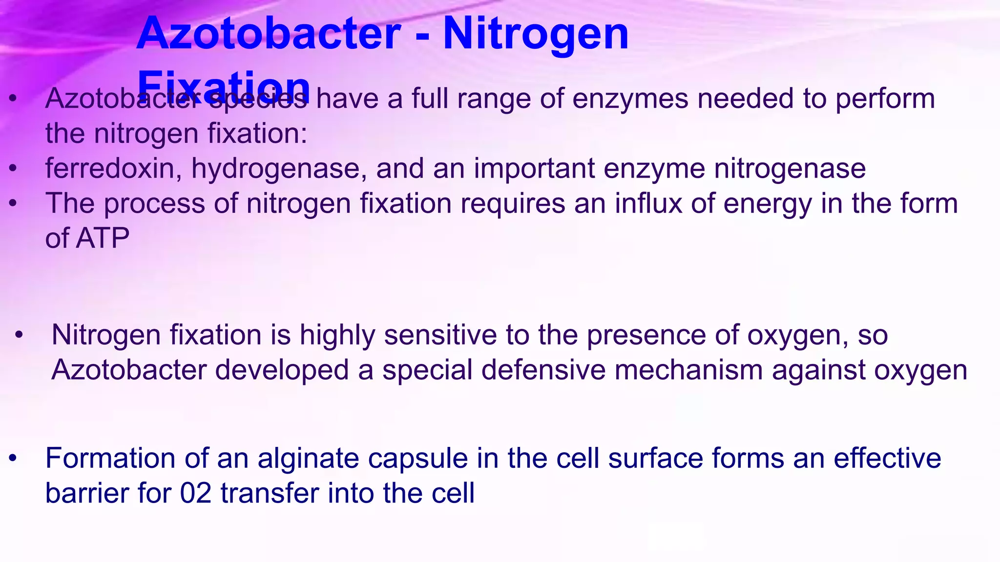 non symbiotic nitrogen fixation P.K.sonkar.pptx