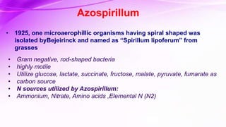 non symbiotic nitrogen fixation P.K.sonkar.pptx