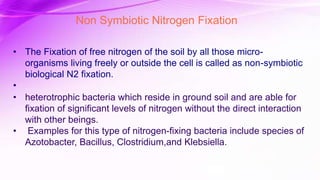 Nitrogen Fixation Examples